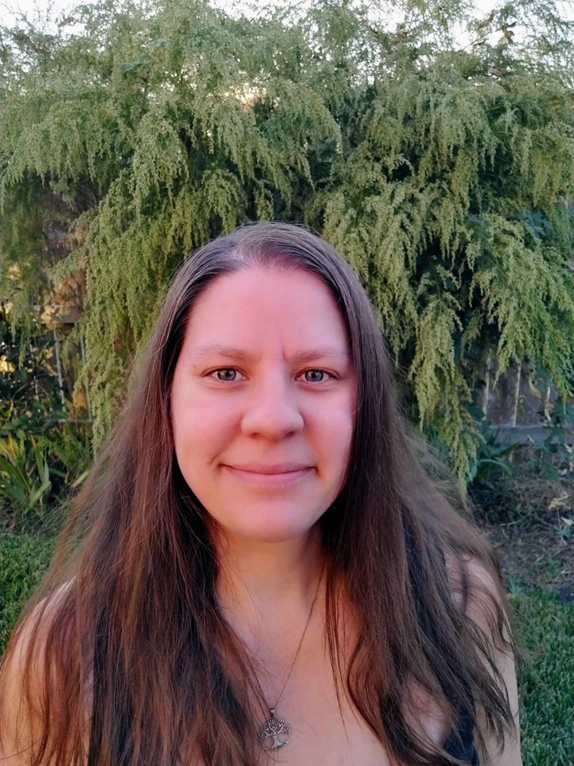 Connecting to the Goddess through the Seasons - The Bridging Tree