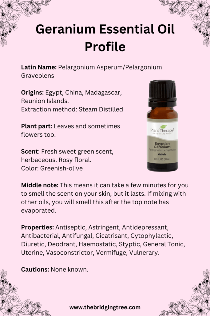 Geranium Essential Oil: Benefits, Recipes and More - The Bridging Tree